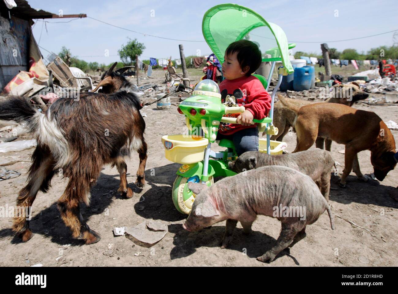 The five little pigs hi-res stock photography and images - Alamy