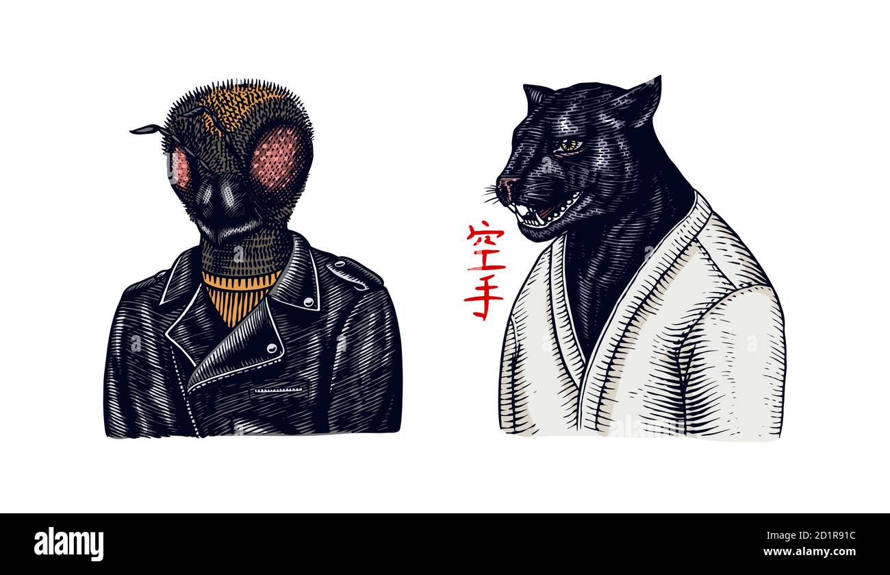 Black panther wrestler or cat fighter and Bee biker. Japanese text ...