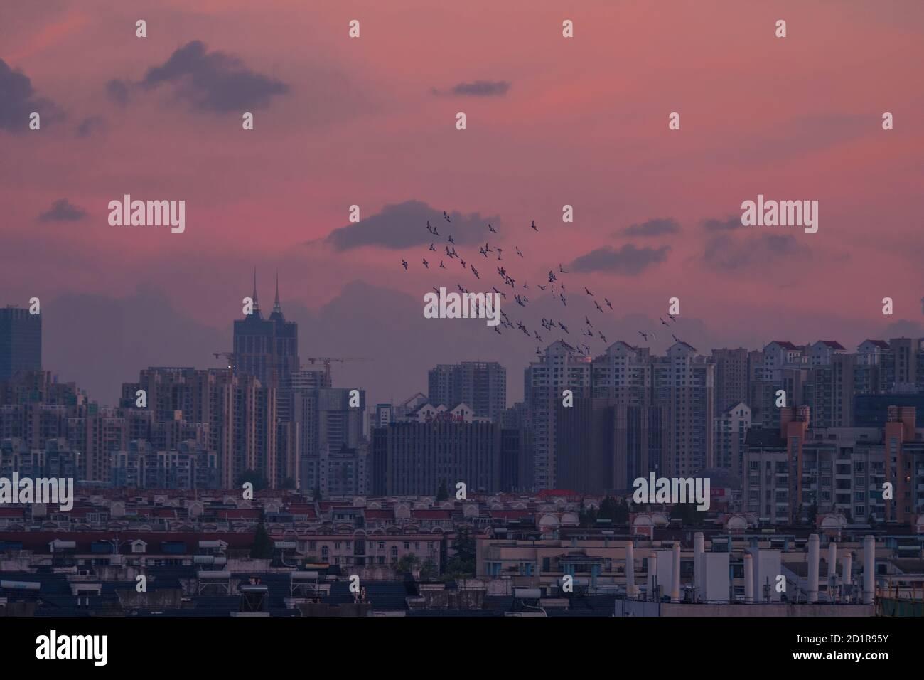 Charming night shanghai hi-res stock photography and images - Alamy