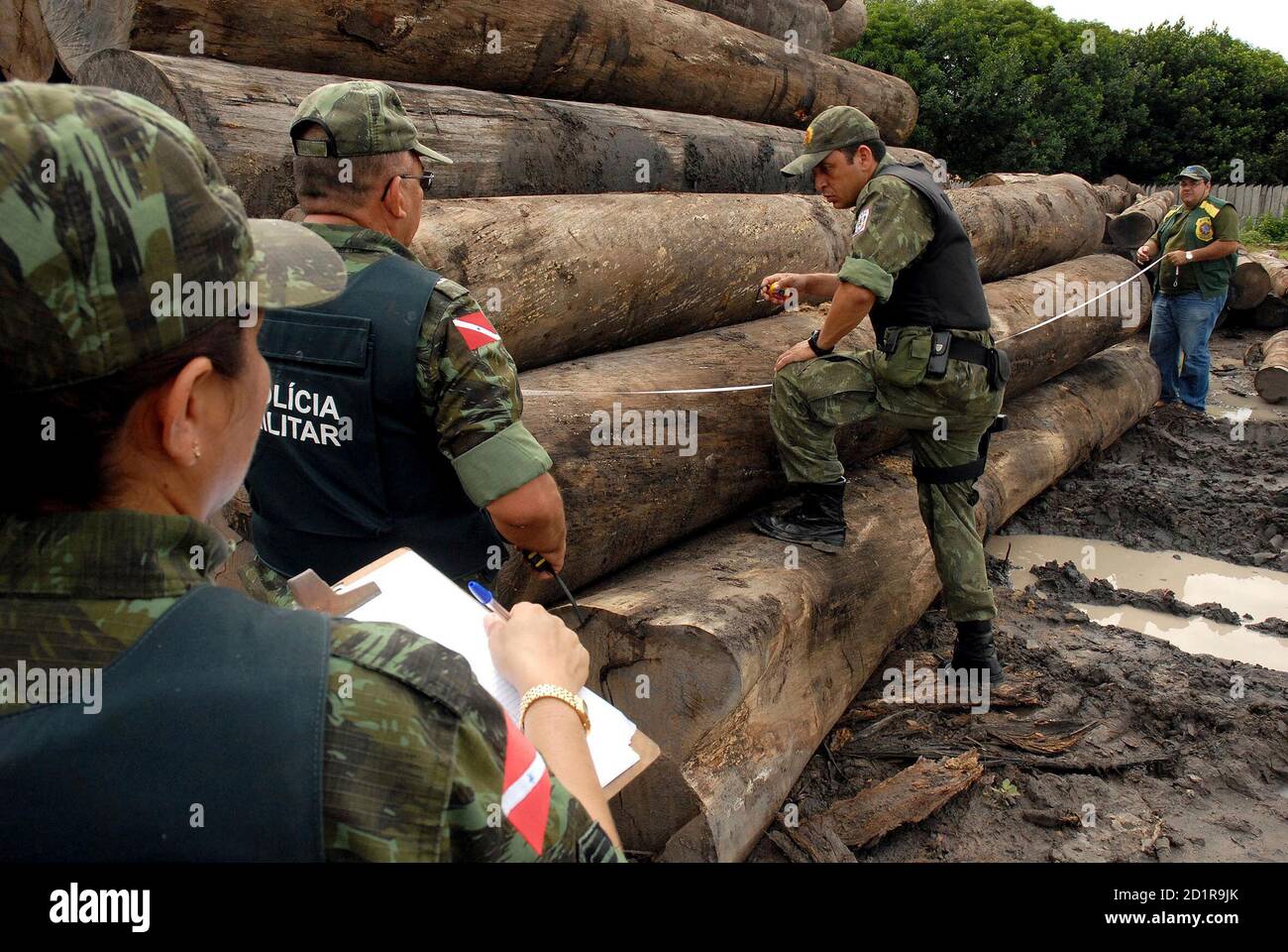 Logging of native rainforest hi-res stock photography and images - Alamy