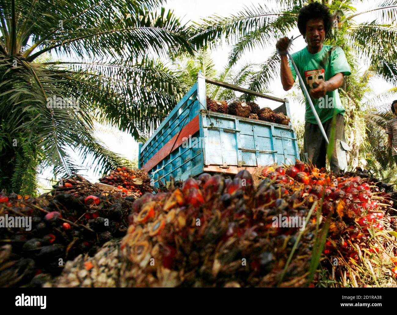 Palm oil factory indonesia hi-res stock photography and images - Alamy