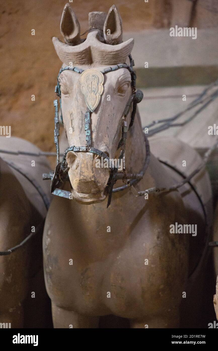 Terracotta warrior horse cavalry hi-res stock photography and images ...