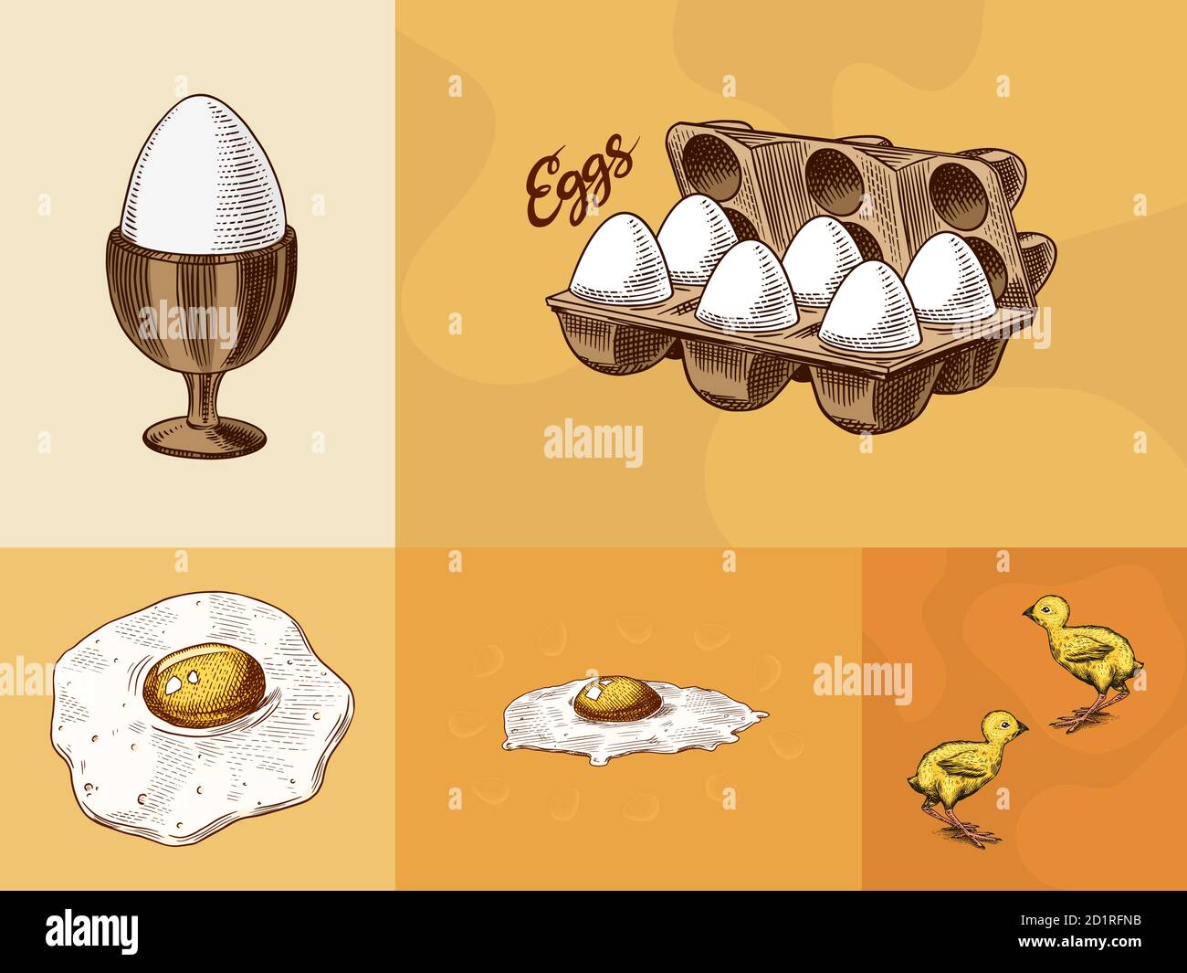 Eggs and and yolk, scrambled omelette, shell and farm product, Chicken ...