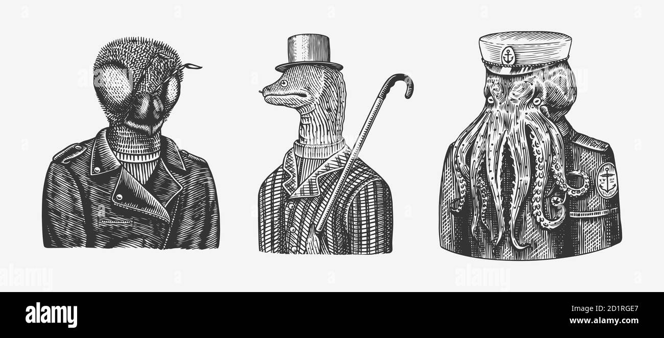 Octopus sailor and Bee biker. Japanese text means: karate. Fashion ...