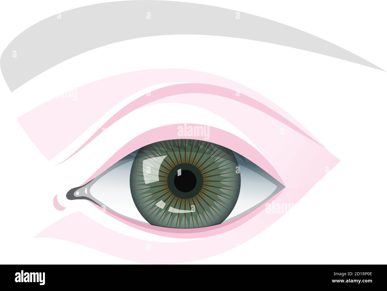 Macro schematic art Stock Vector Images - Alamy