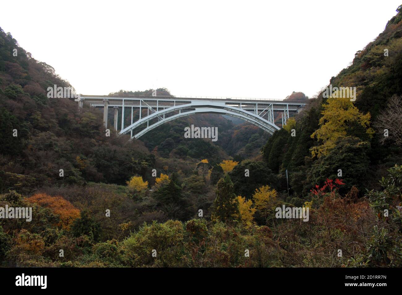 Bridge passing forest during spring in Beppu, Oita, Japan. Taken in ...