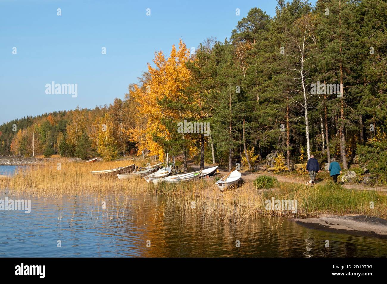 lake Saimaa shore scenery, Lappeenranta Finland Stock Photo - Alamy