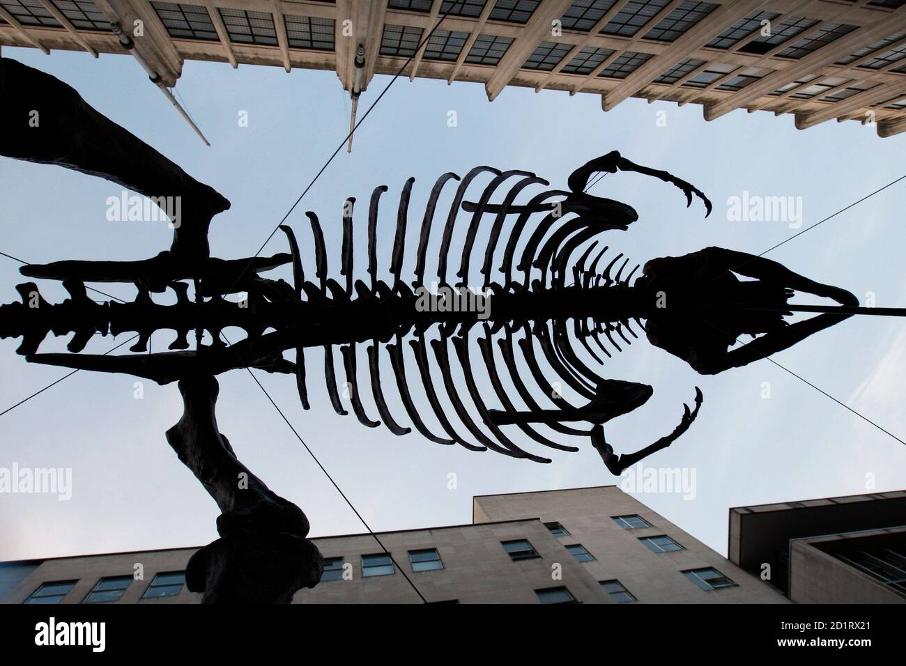 Rex Features High Resolution Stock Photography and Images - Alamy