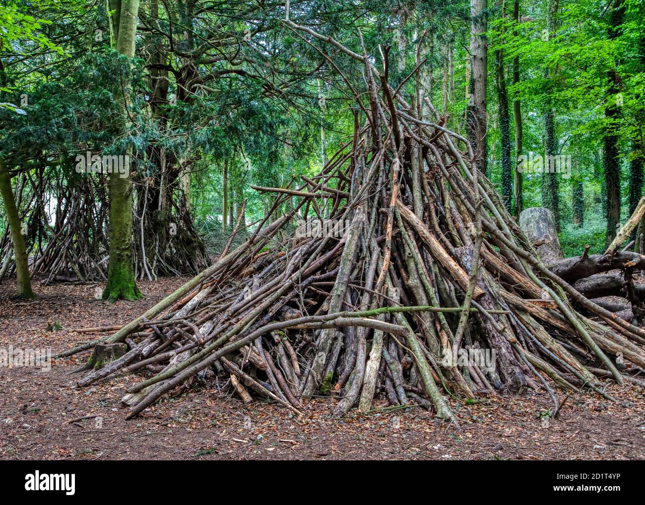 Sticks to cover hi-res stock photography and images - Alamy