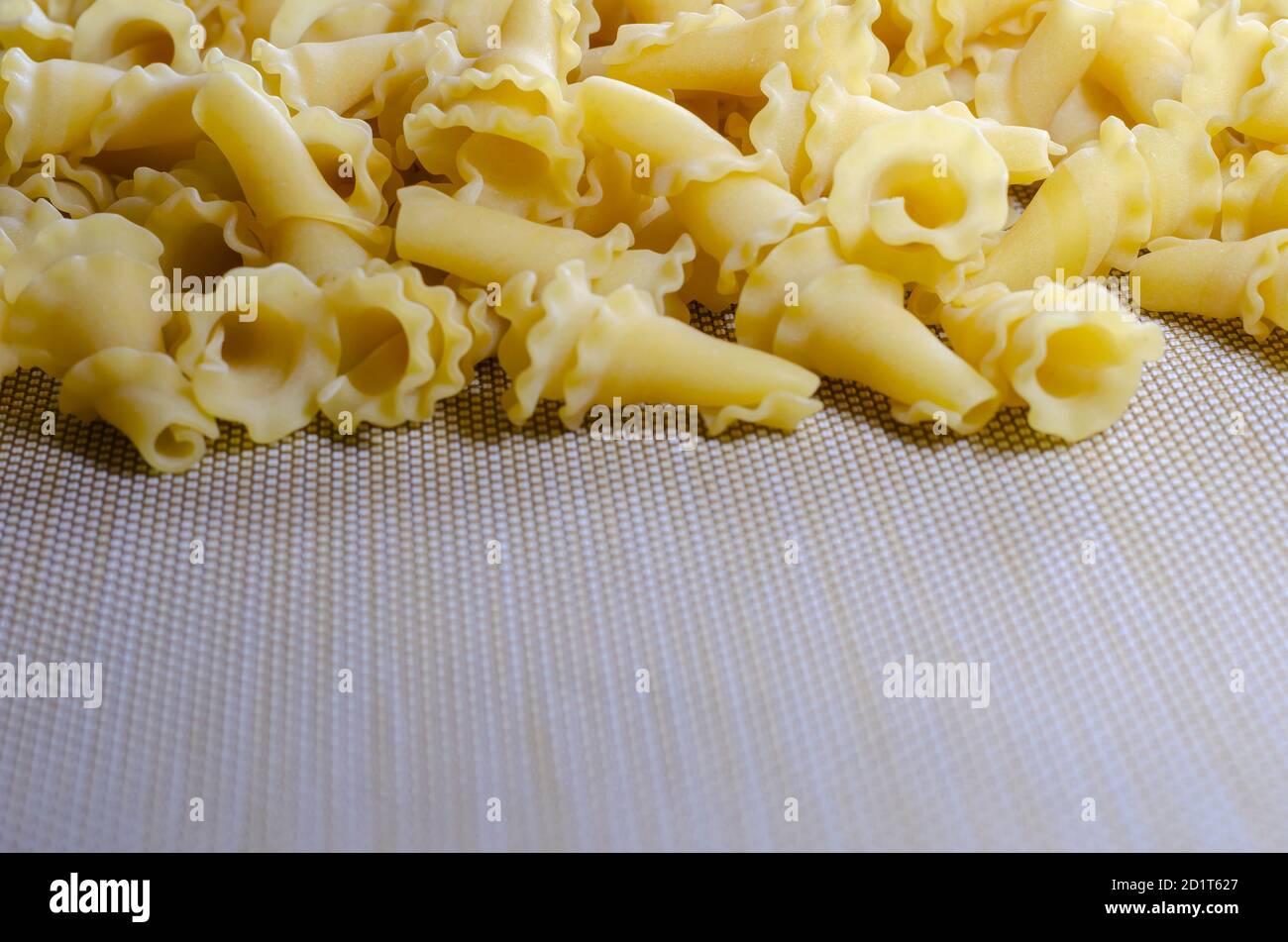 Clouse up Gigli or campanelle pasta (also known as riccioli). Dry pasta ...