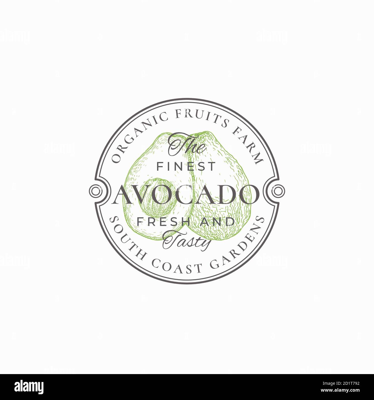 Avocado Farm Round Frame Badge or Logo Template. Hand Drawn Avocado ...