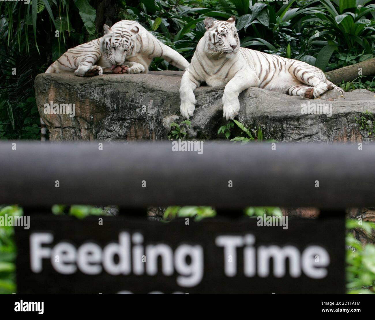 Wwf sign hi-res stock photography and images - Alamy