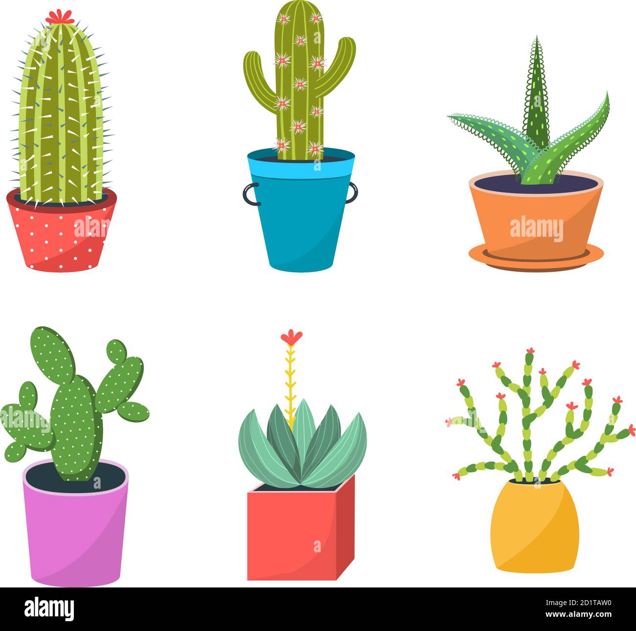 Cacti variety Stock Vector Images - Alamy