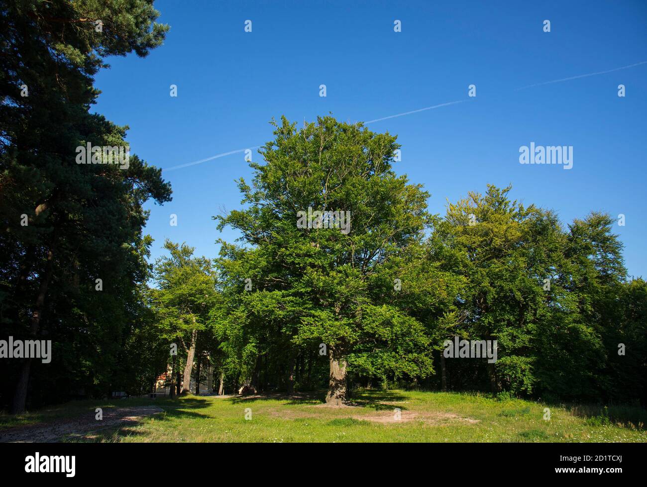 Wejherowo hi-res stock photography and images - Alamy