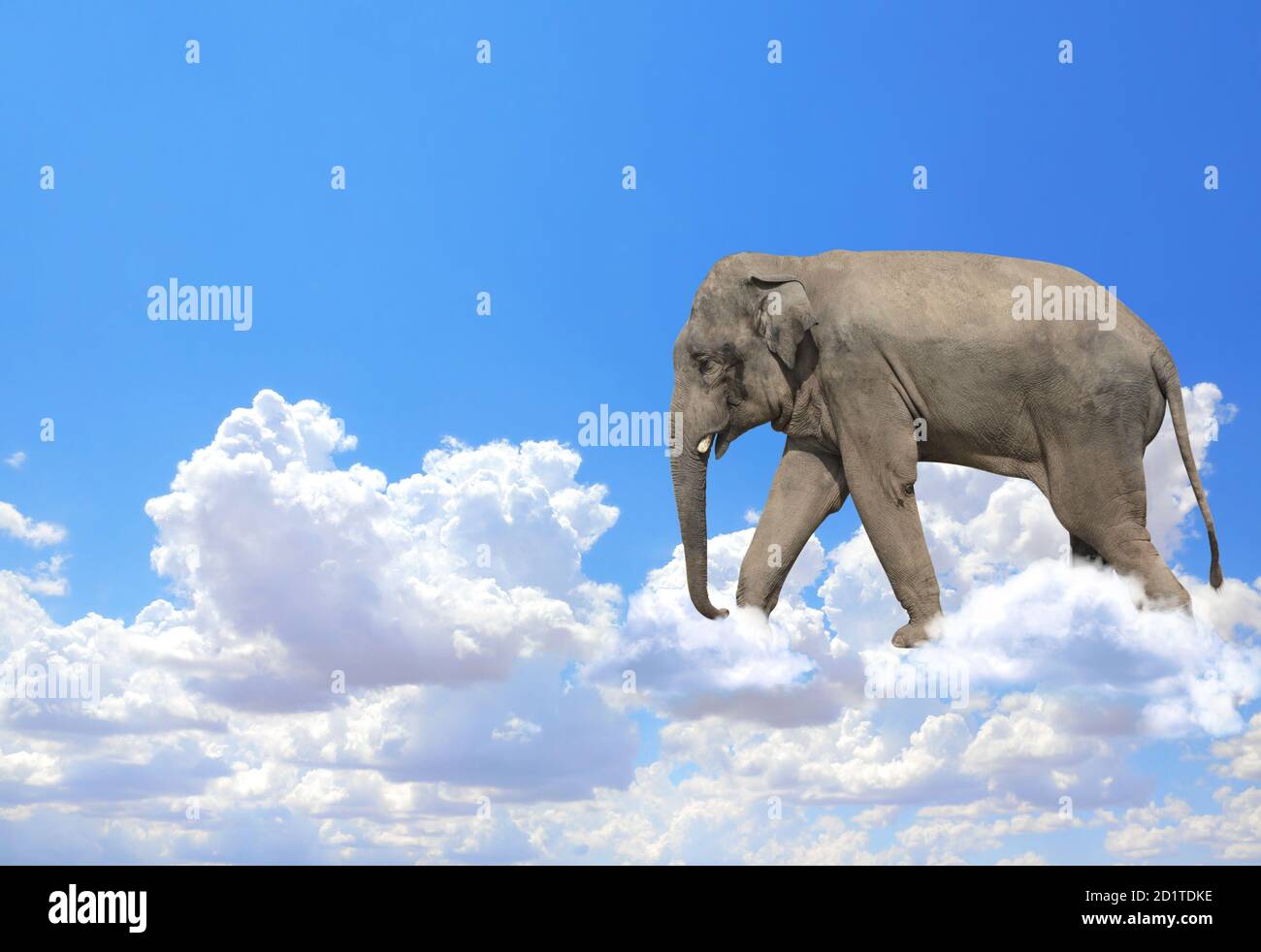 Horizontal banner with elephant above clouds on blue sky background ...