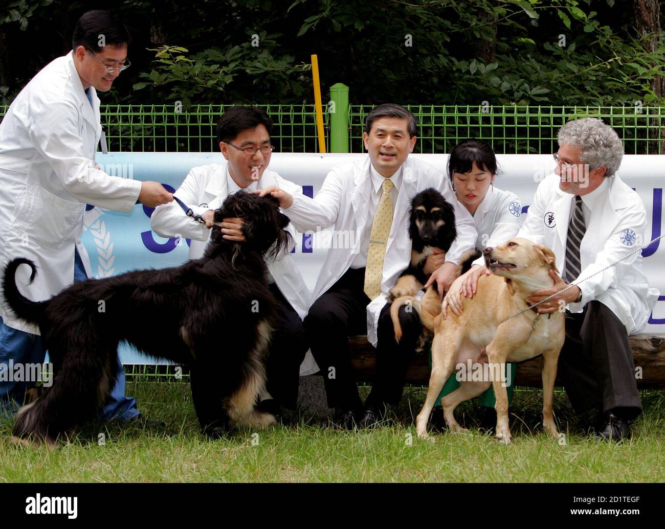 Cloned dogs hi-res stock photography and images - Alamy