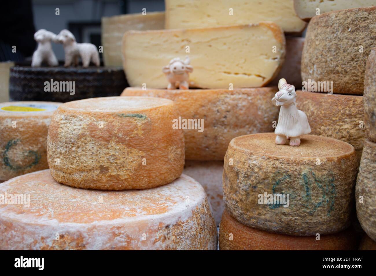 Variety of homemade bio natural cheese in a street food market Stock ...