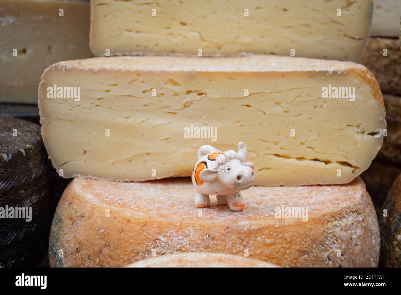 Variety homemade bio natural cow cheese in a street food market Stock ...