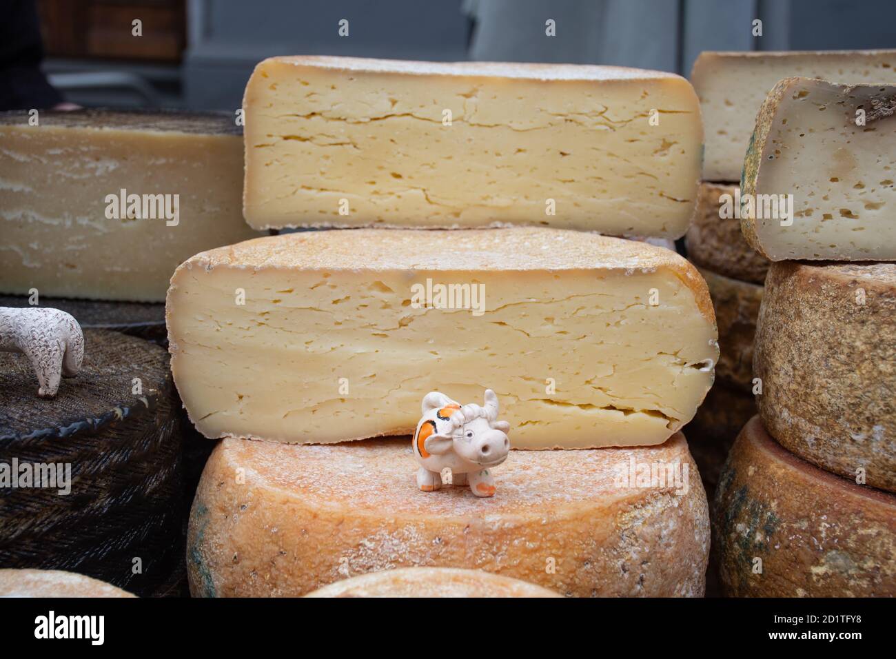 Variety homemade bio natural cow cheese in a street food market Stock ...