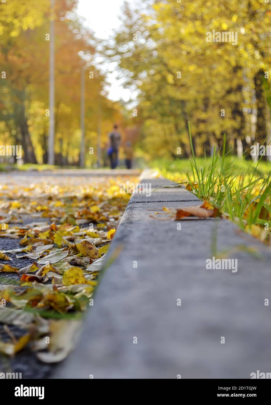 Low angle street hi-res stock photography and images - Alamy