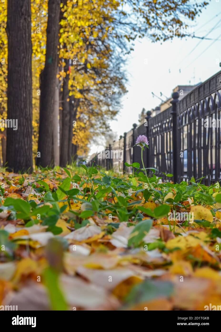 Park at an angle hi-res stock photography and images - Alamy