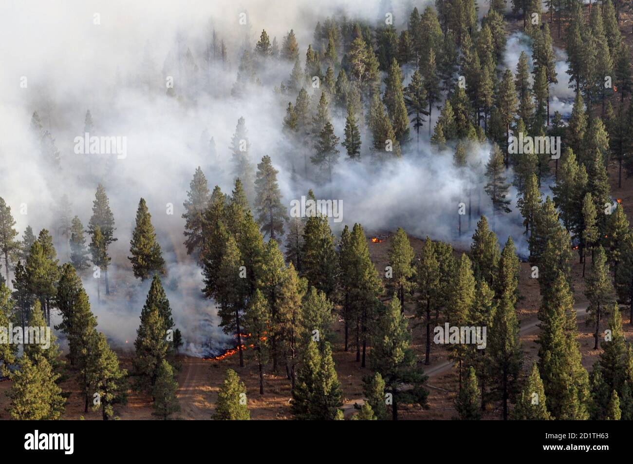 Brattain fire hi-res stock photography and images - Alamy