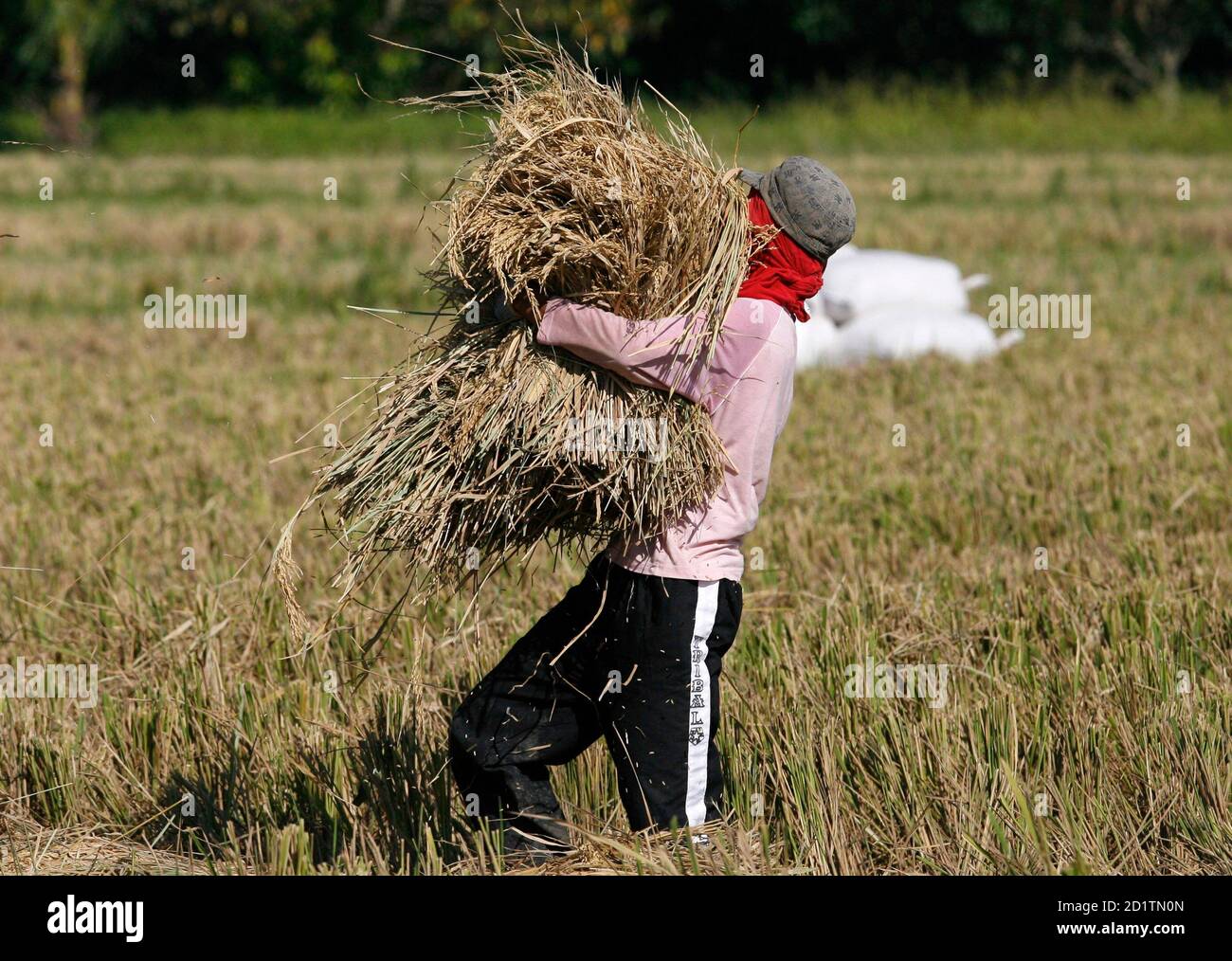 Simon rice hi-res stock photography and images - Alamy