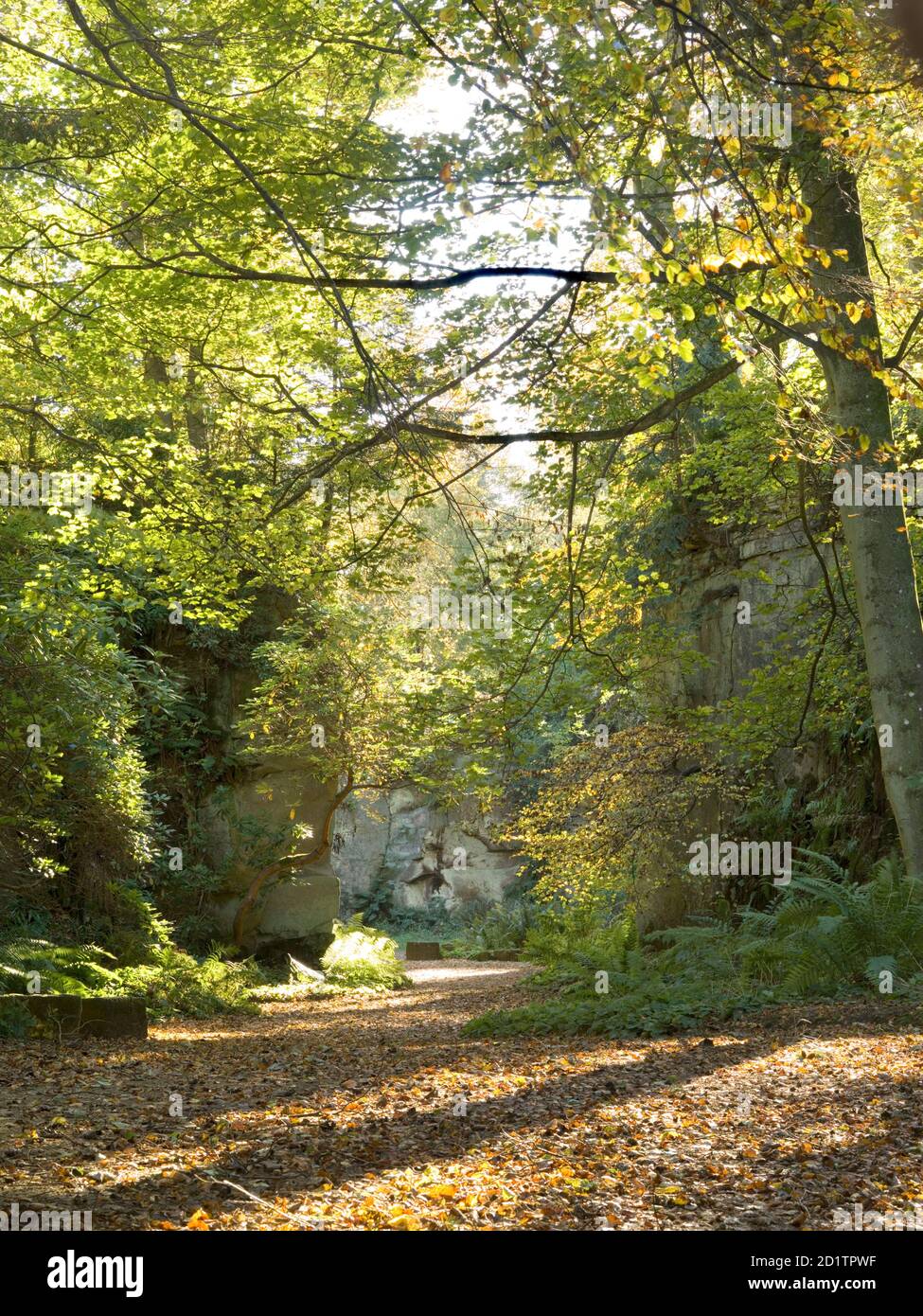 BELSAY HALL, CASTLE & GARDENS, Northumberland. Autumnal view of the ...