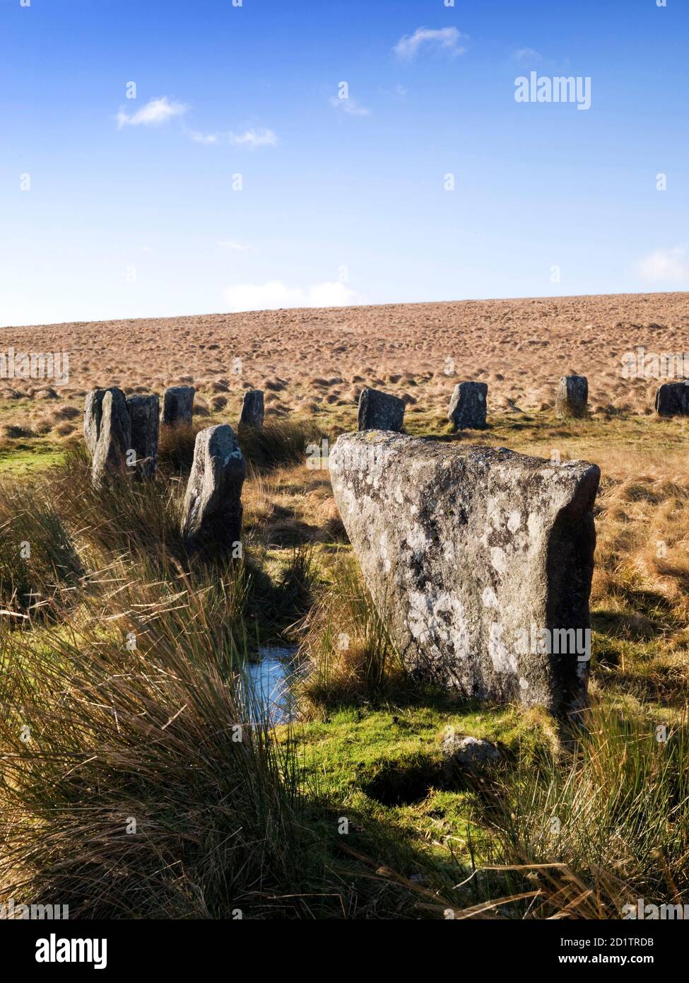 Circles of colour hi-res stock photography and images - Alamy