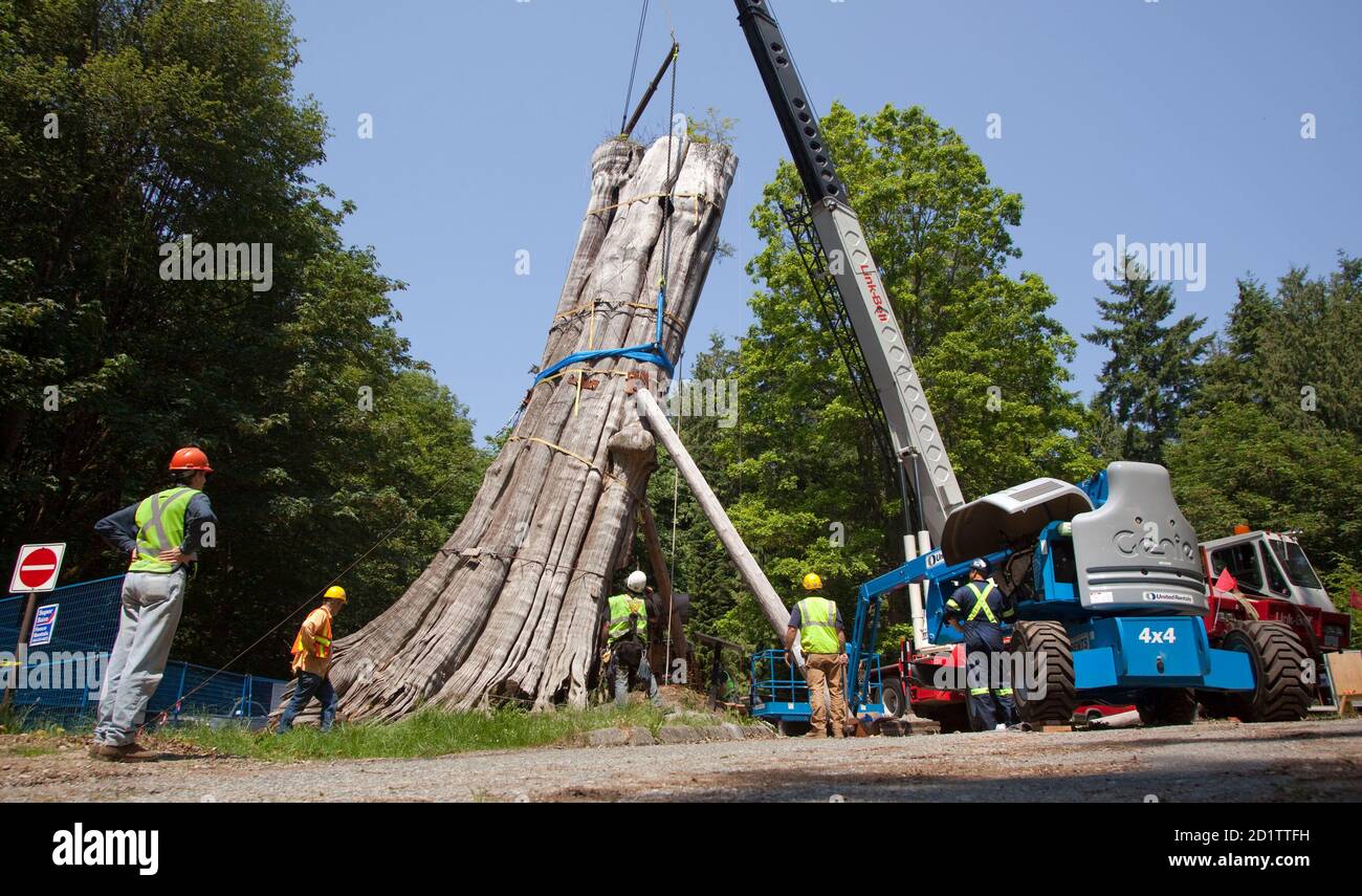 Crane lifts tree hi-res stock photography and images - Alamy