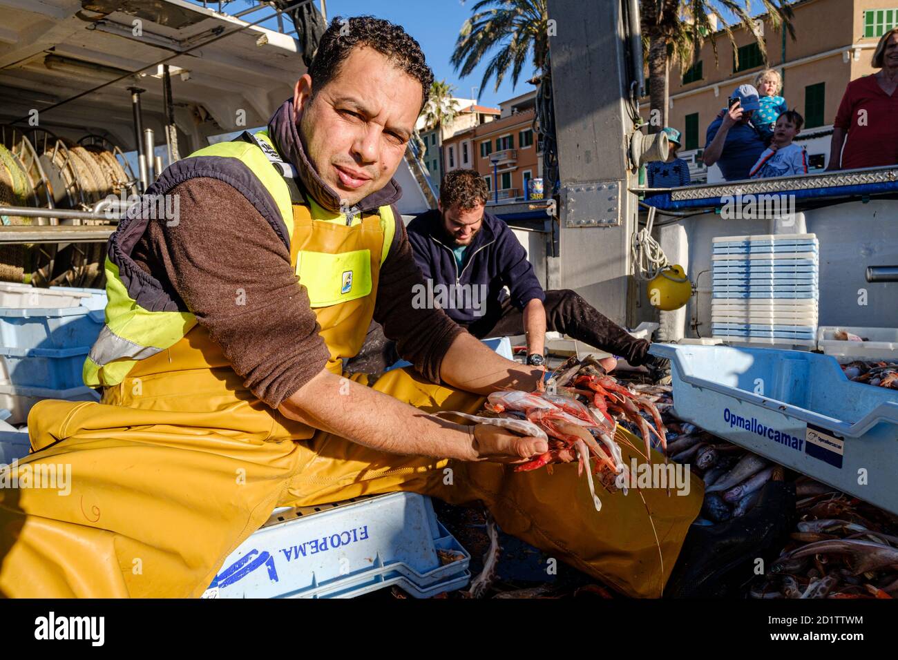sailors selecting the fish, pesca de arrastre o pesca de bou, Andratx ...