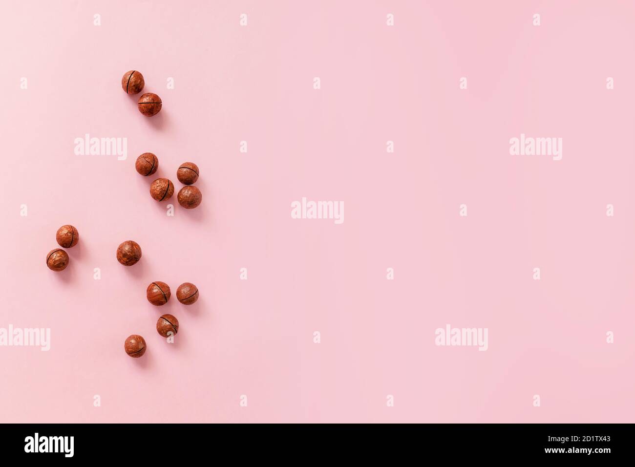 Raw macadamia nut scattered on a pink solid background with copy space ...