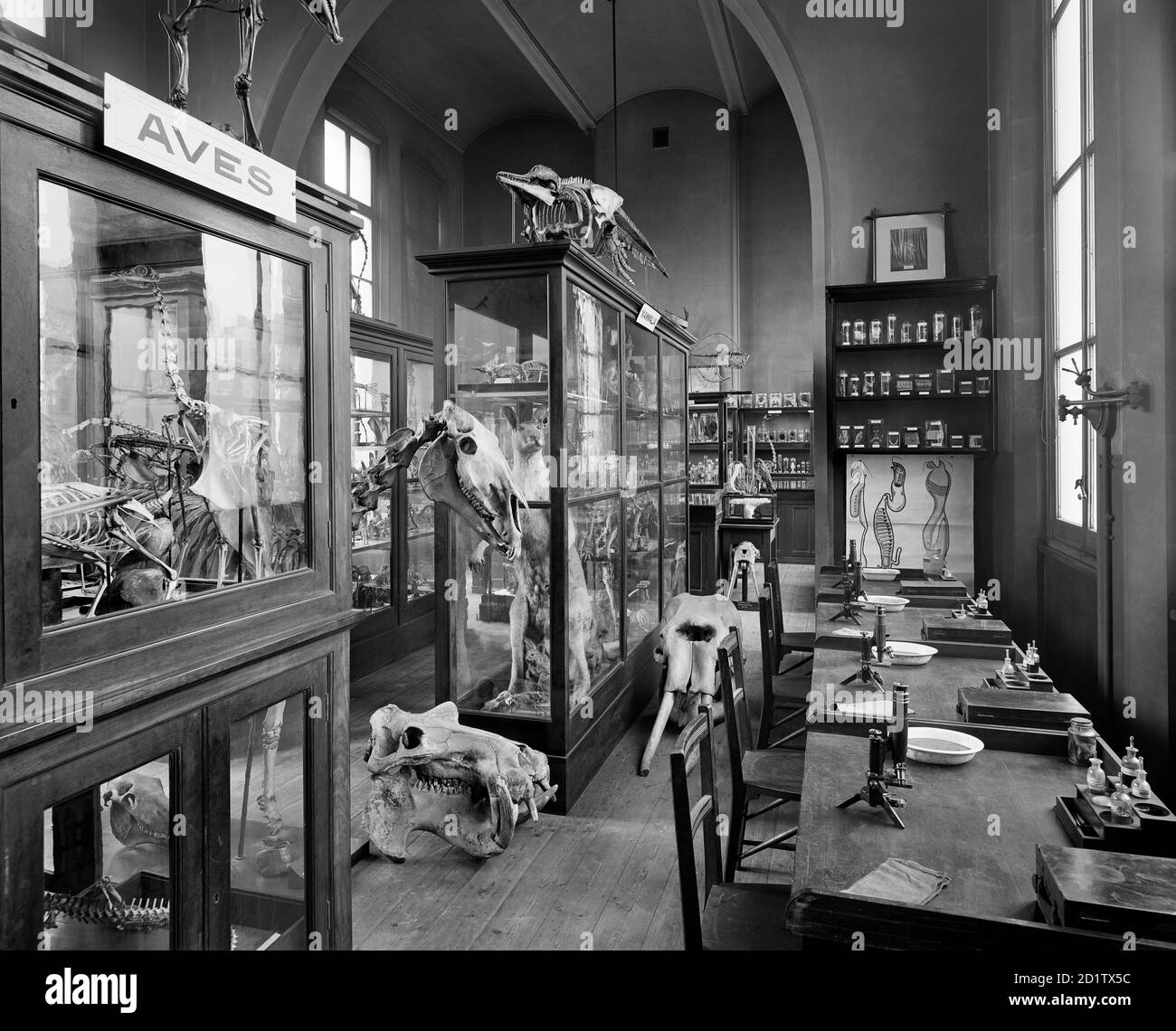 University of birmingham Black and White Stock Photos & Images - Alamy