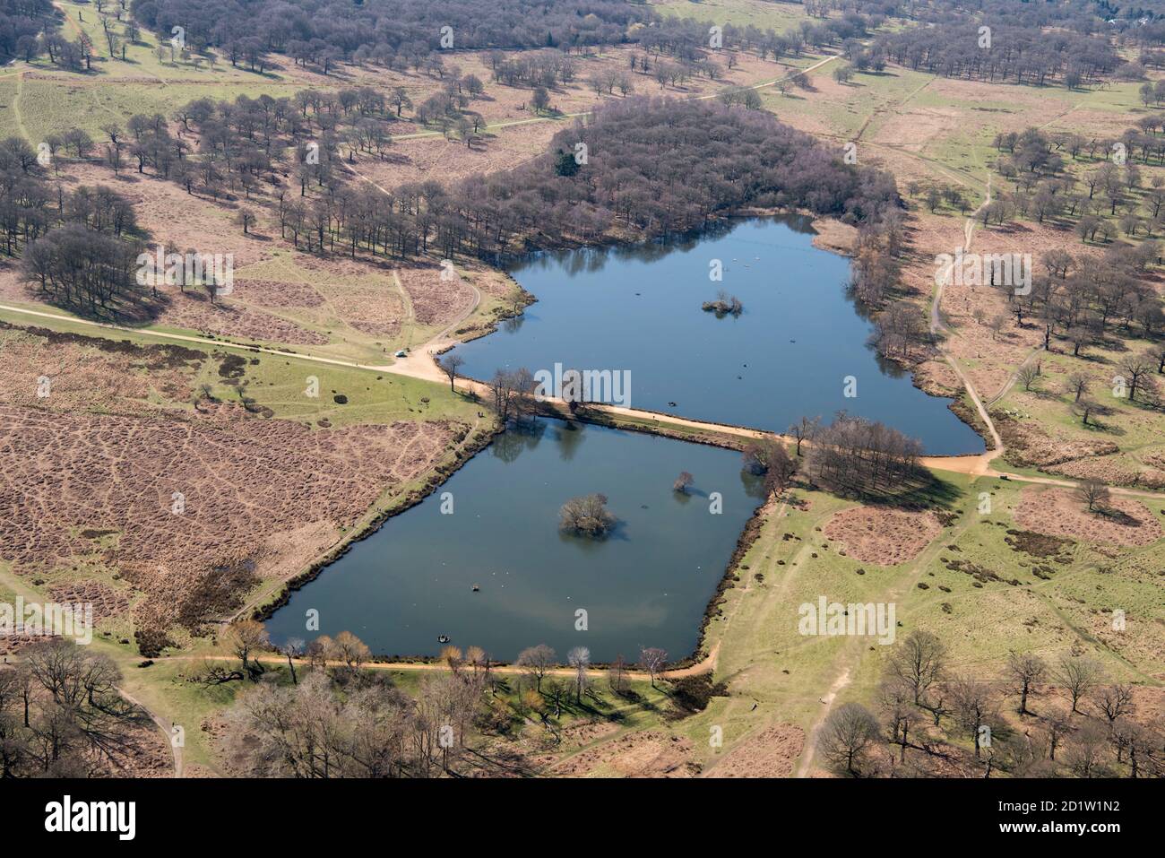 Uk ponds hi-res stock photography and images - Alamy