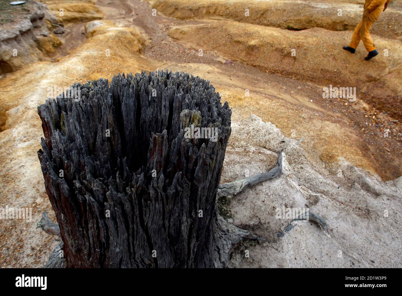 Salination farmland australia hi-res stock photography and images - Alamy