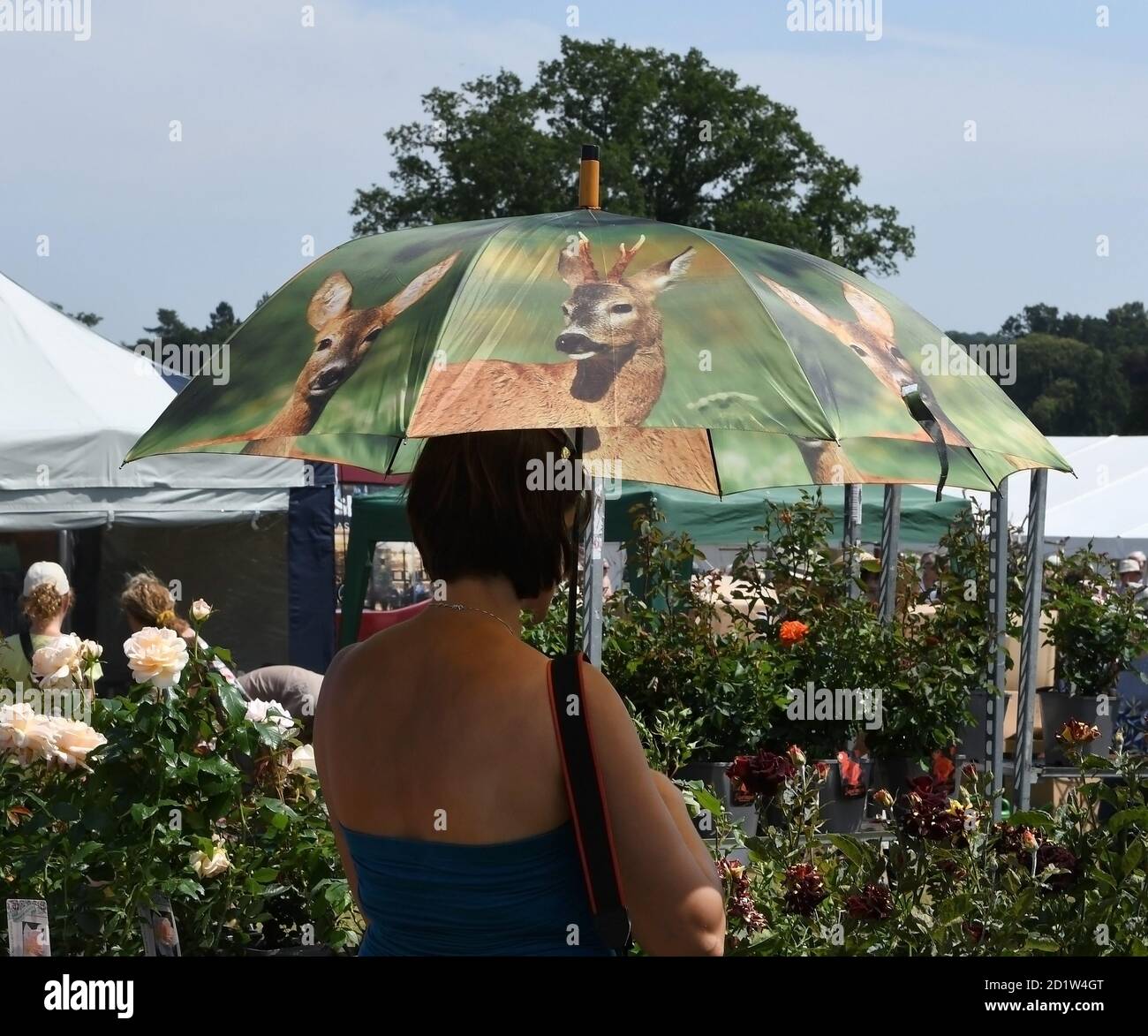 Sun umbrella as rain umbrella hi-res stock photography and images - Alamy