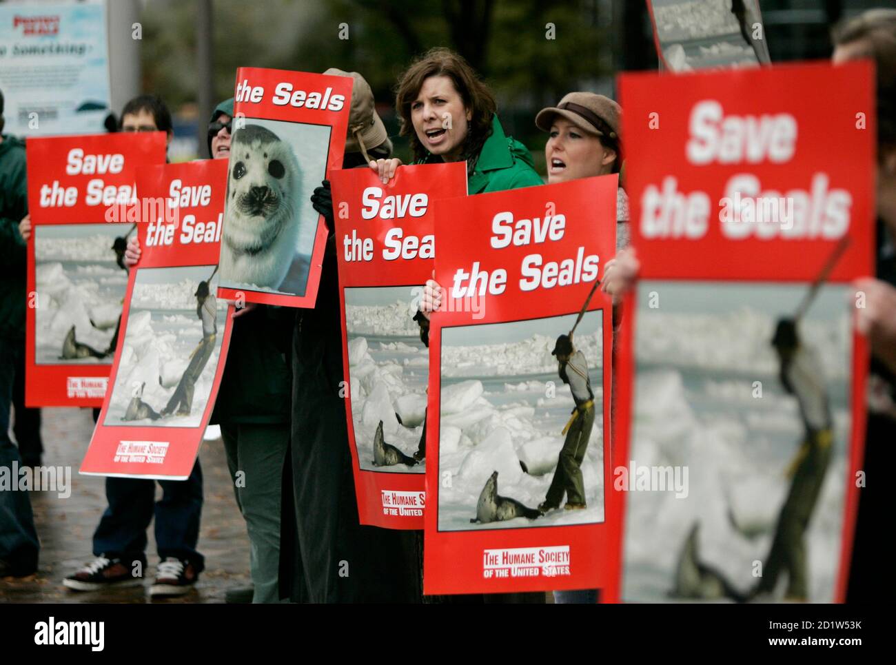 Seal hunt demonstration hi-res stock photography and images - Alamy