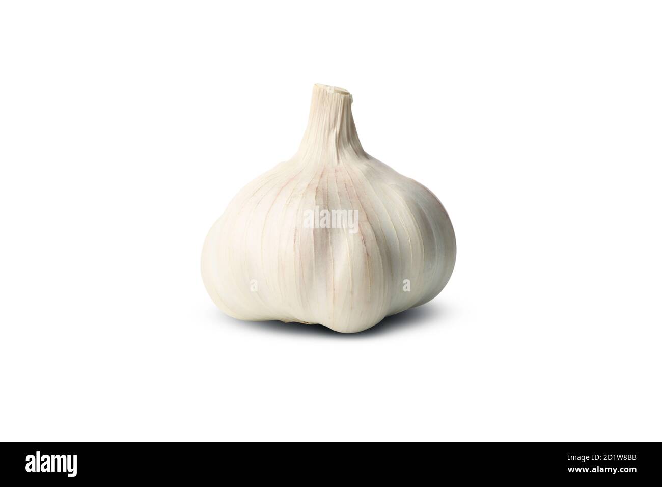 Raw fresh garlic isolated on white background Stock Photo - Alamy