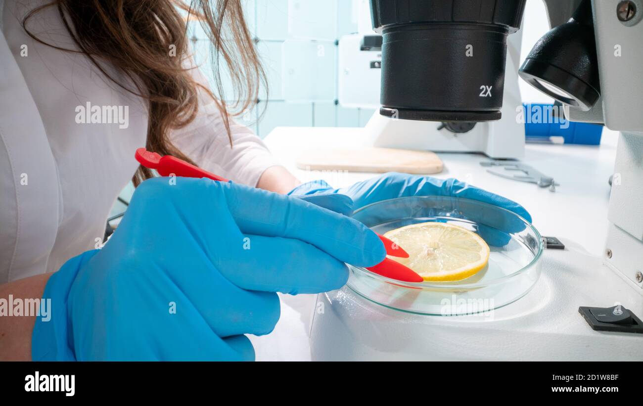 Inspection of the quality of vegetables and fruits in the laboratory of ...