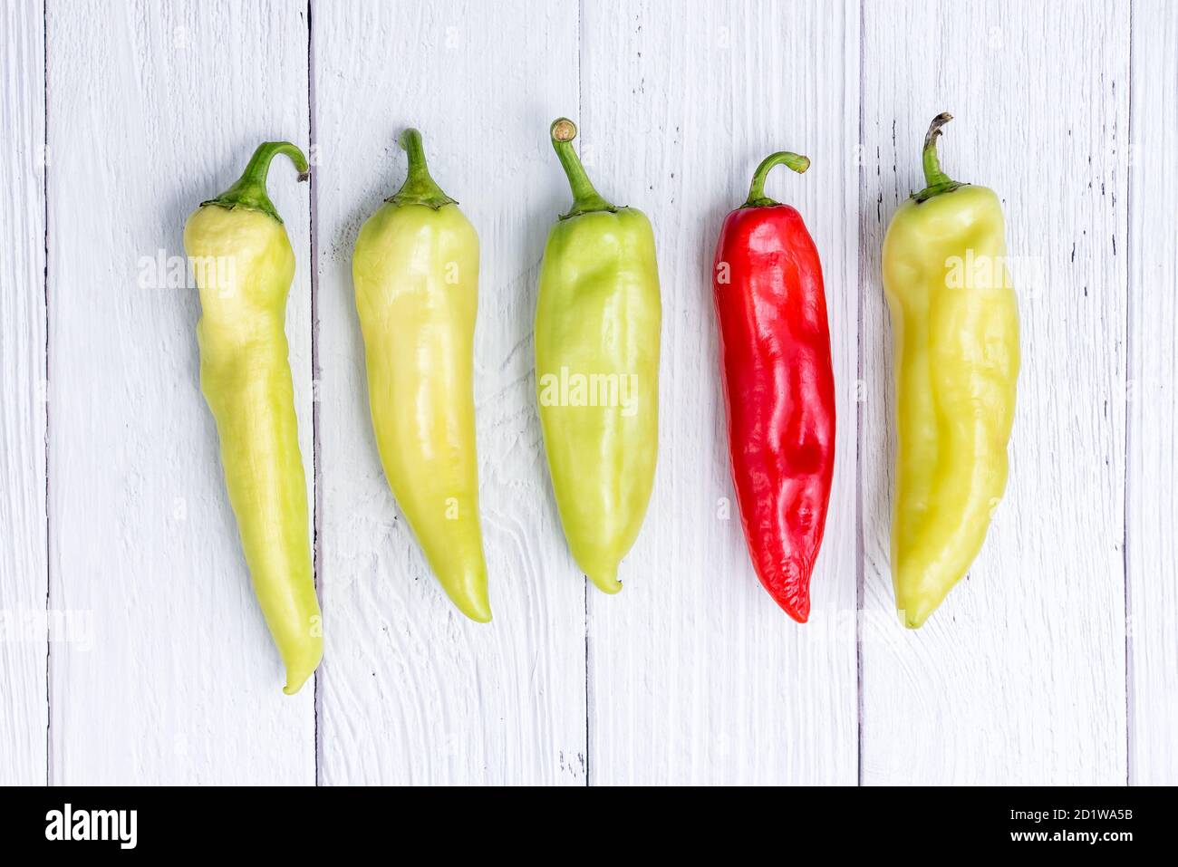 Single Red chili pepper among Green peppers on white wooden table ...