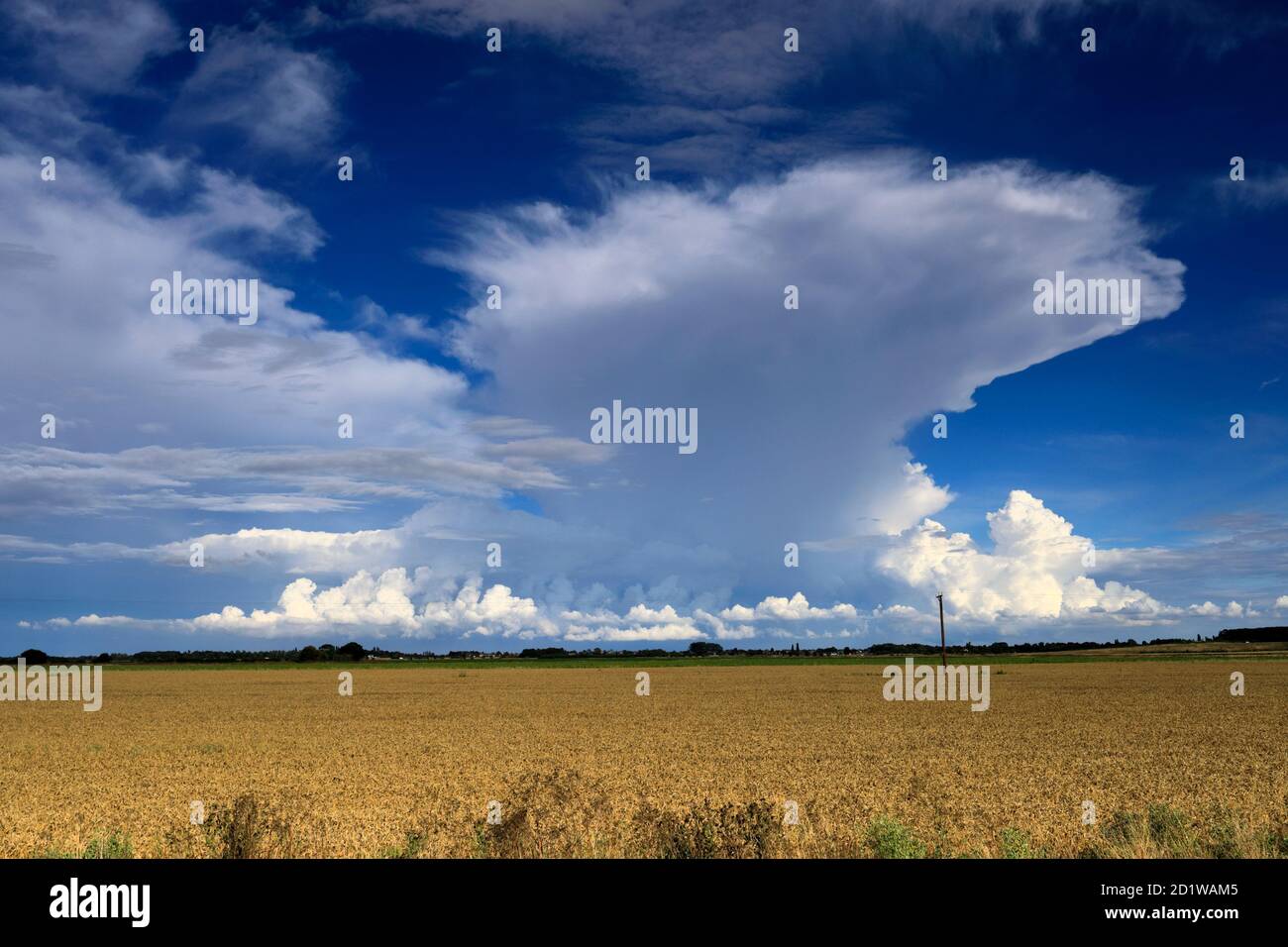 Cumulonimbus capillatus clouds uk hi-res stock photography and images ...