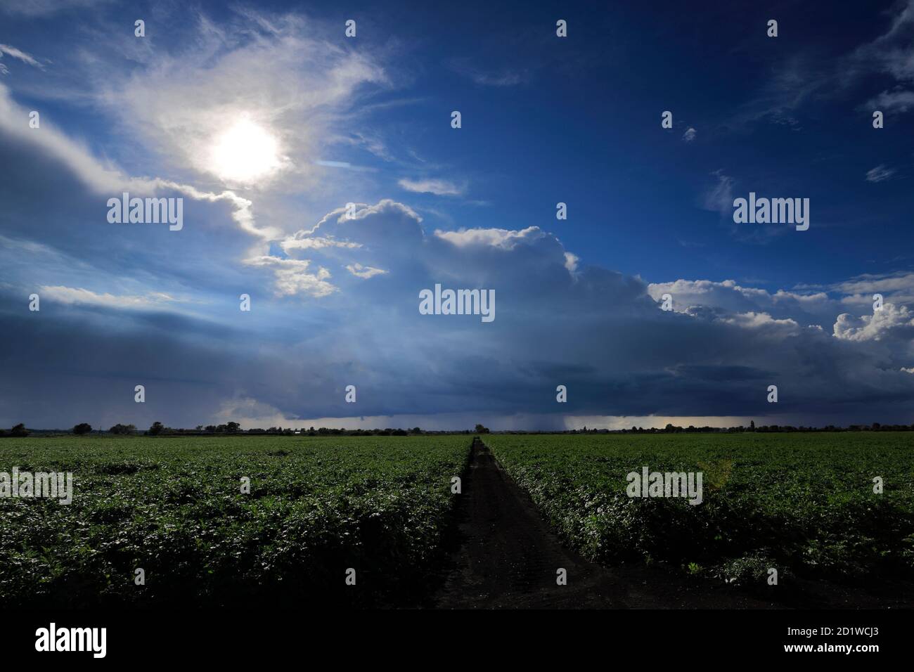 Cumulonimbus capillatus clouds uk hi-res stock photography and images ...