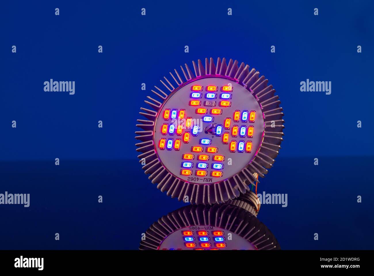 Led artificial light plants hi-res stock photography and images - Alamy