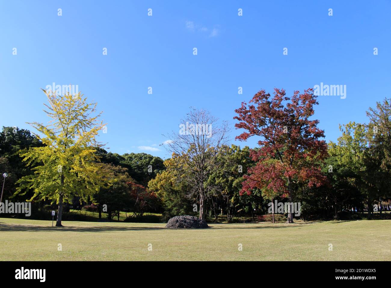 Colorful Japanese spring season at at Minamitateishi Park with mountain ...