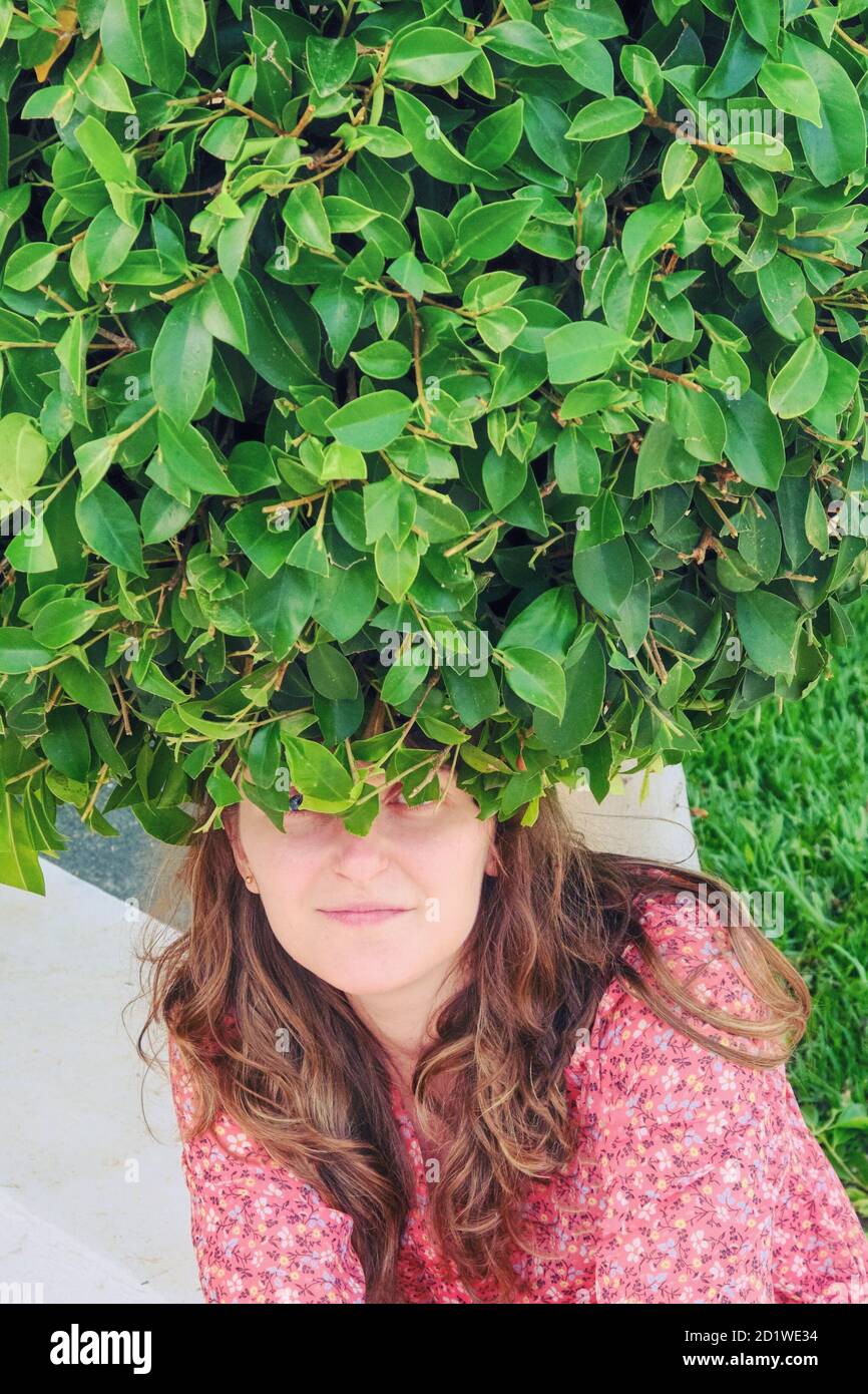 The leaves of the round crown of the bush create a hairstyle effect ...