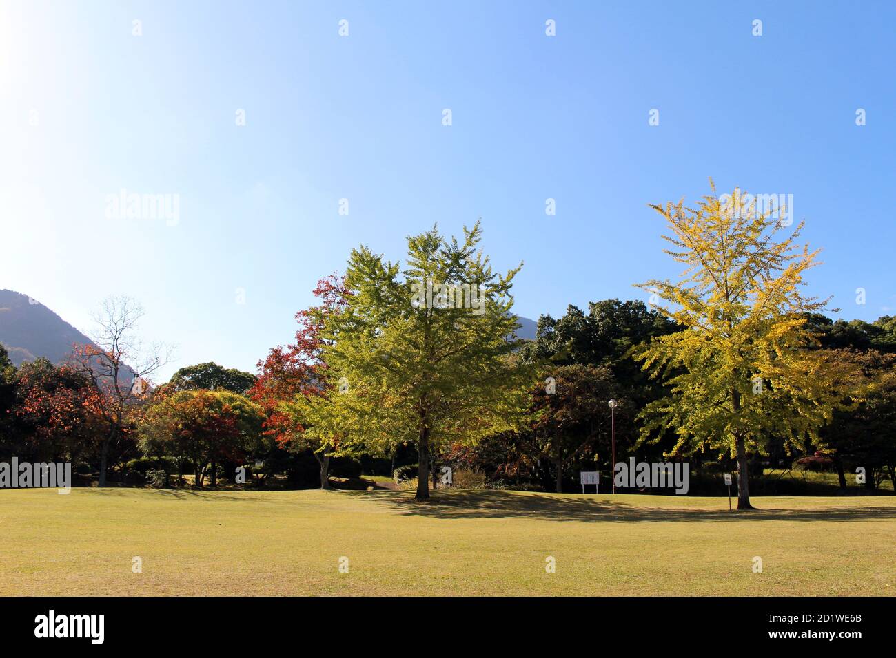 Colorful Japanese spring season at at Minamitateishi Park with mountain ...