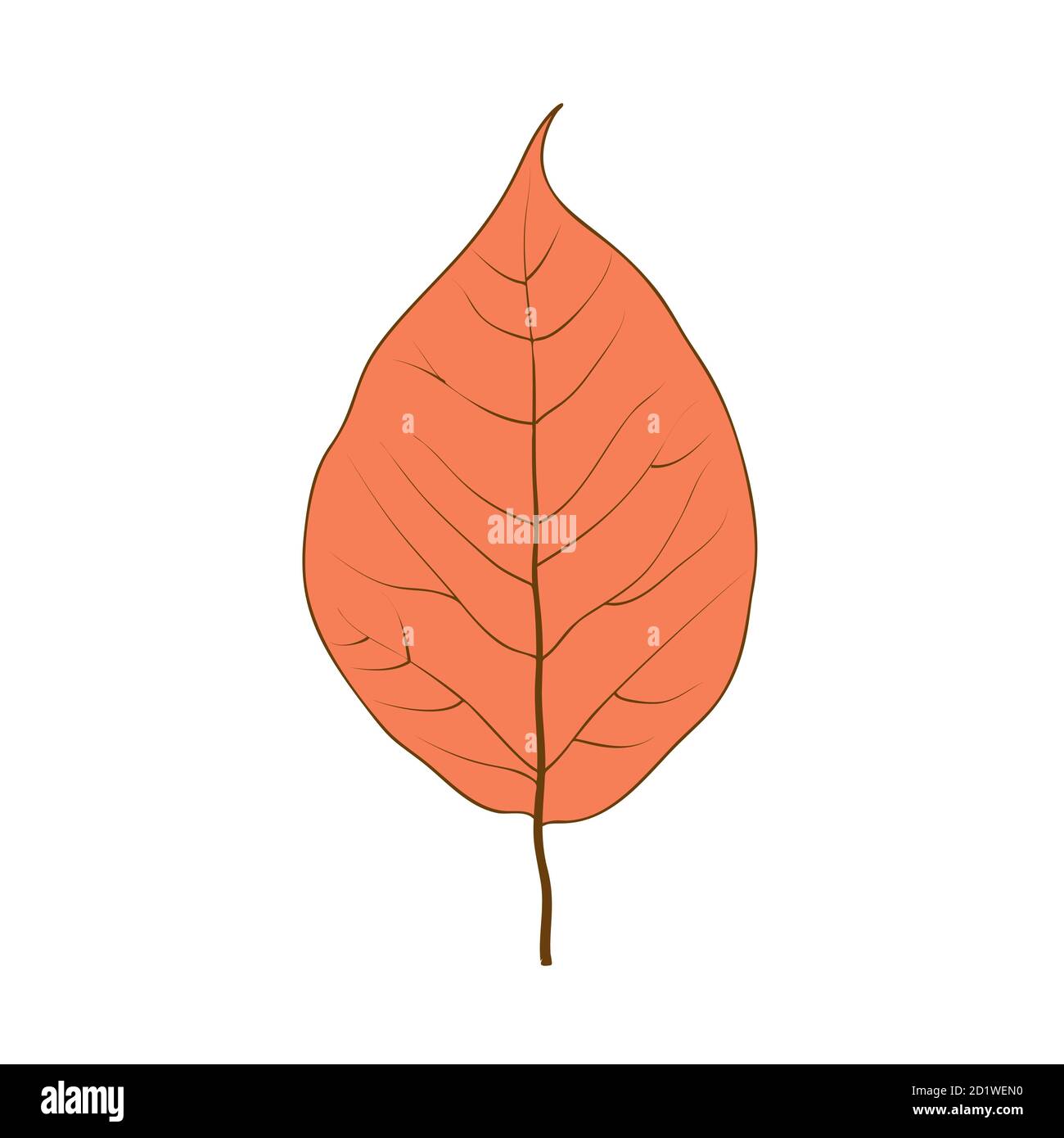 Flat vector cartoon illustration of autumn withered red leaf. Natural ...