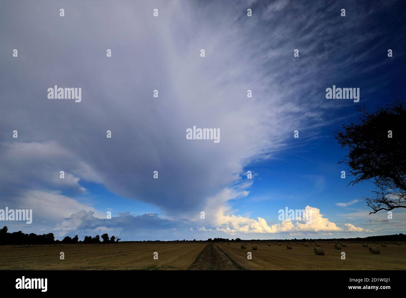 Cumulonimbus capillatus hi-res stock photography and images - Alamy
