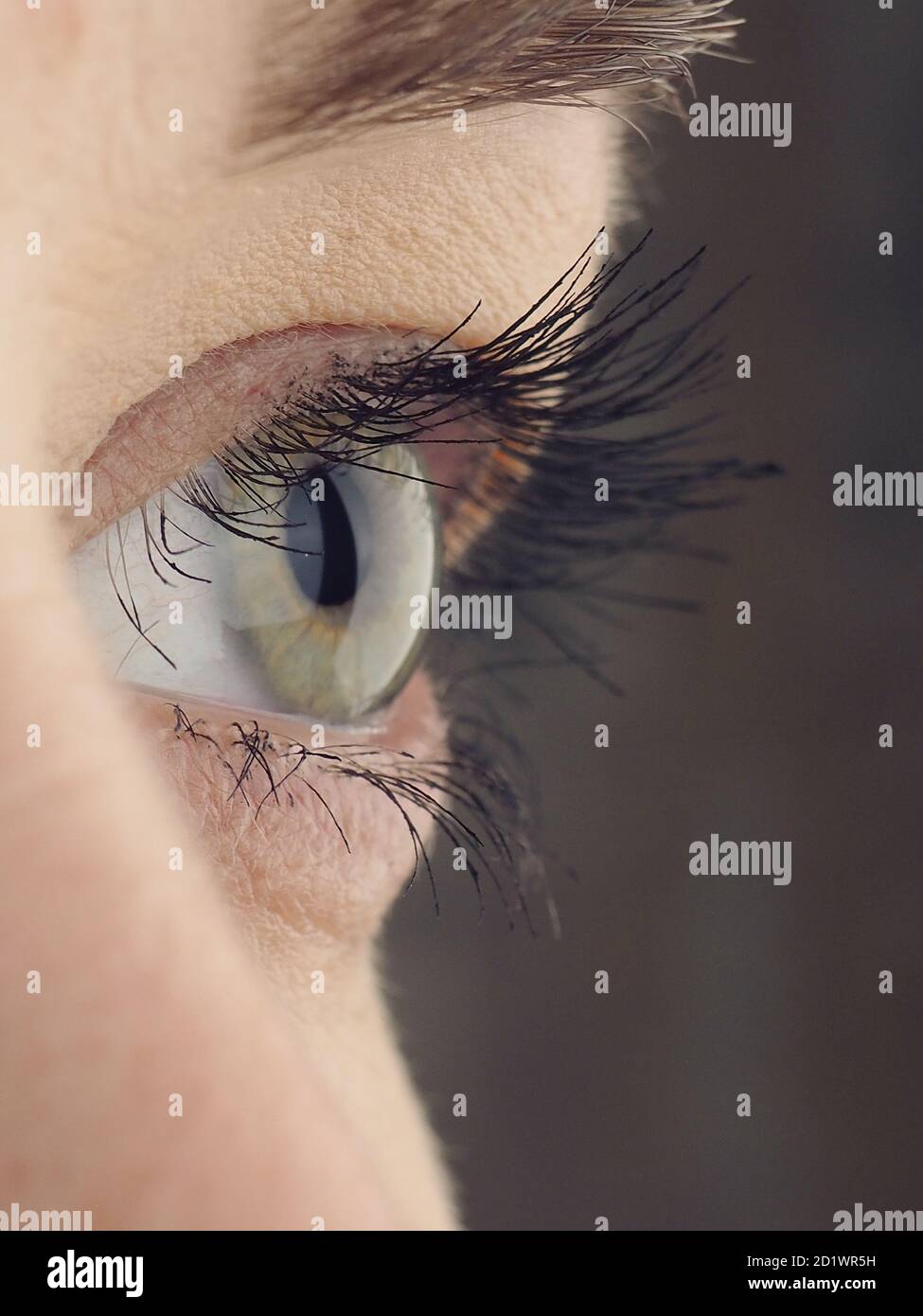 Flaws hi-res stock photography and images - Alamy