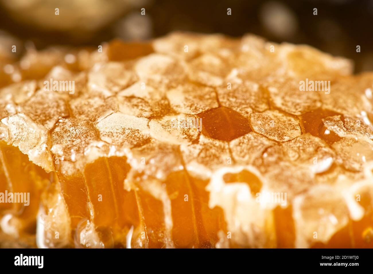 Detailed closeup macro photo of Beeswax and honey. Food background ...